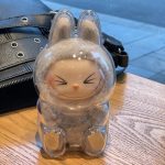 Clear Hard Case Cover For Labubu With Strap - Labubu Hut